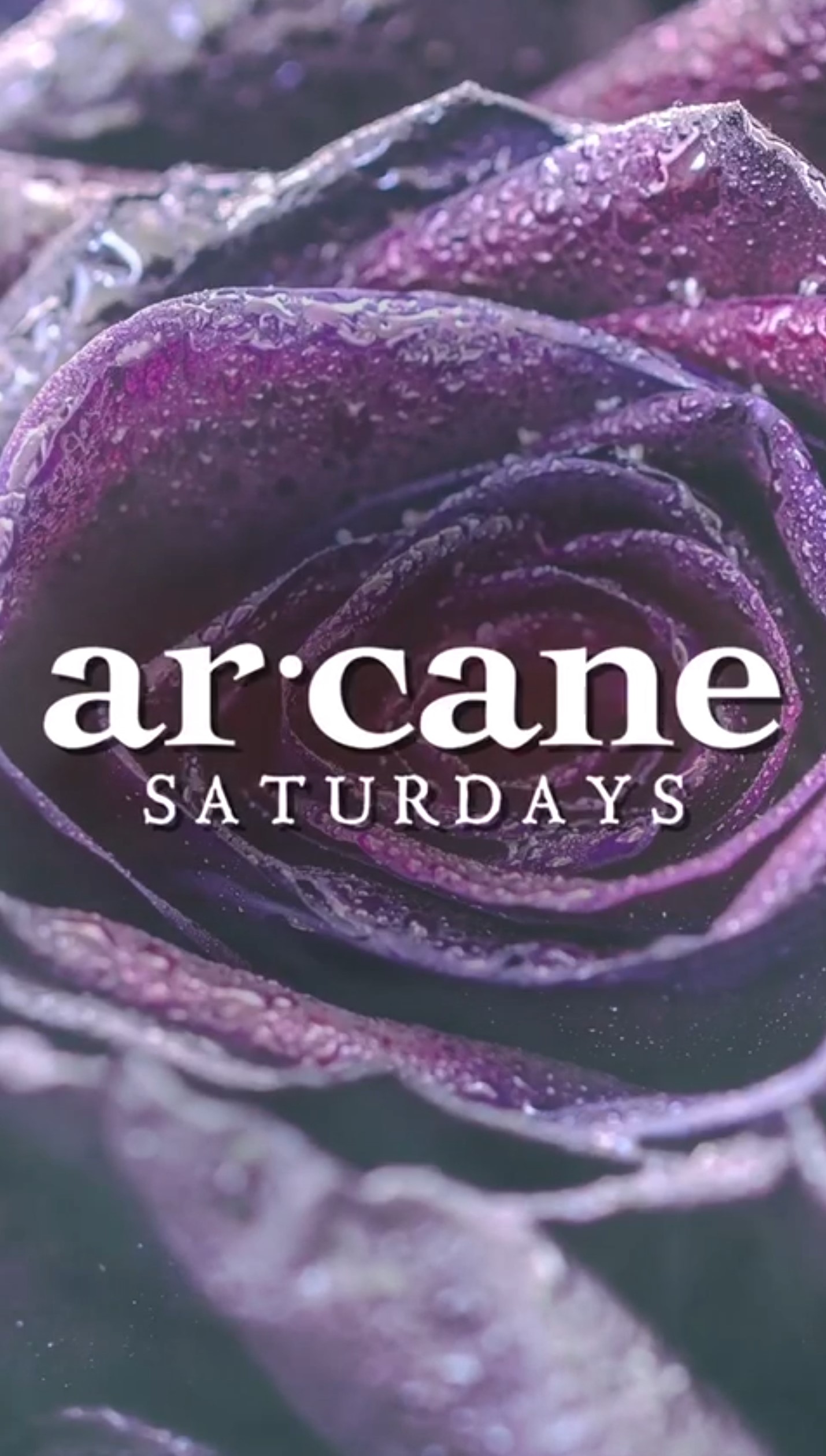 The Citizen Restaurant + Bar Guestlist | Arcane Toronto | The Citizen ...
